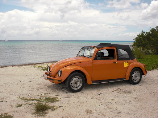 Some Random VW pics from trip to Cozumel, MX | VW Vortex - Volkswagen Forum