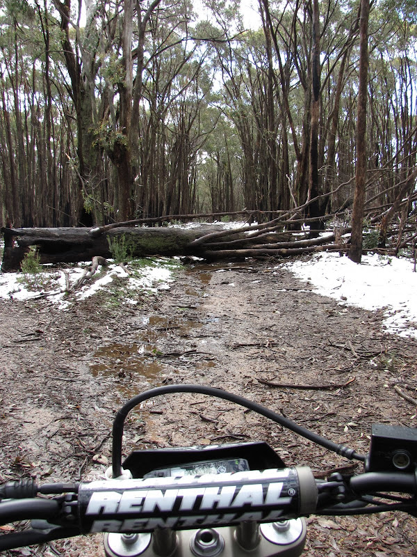 Surprise snow in spring... on a motard! 2 day trip through Vic high ...