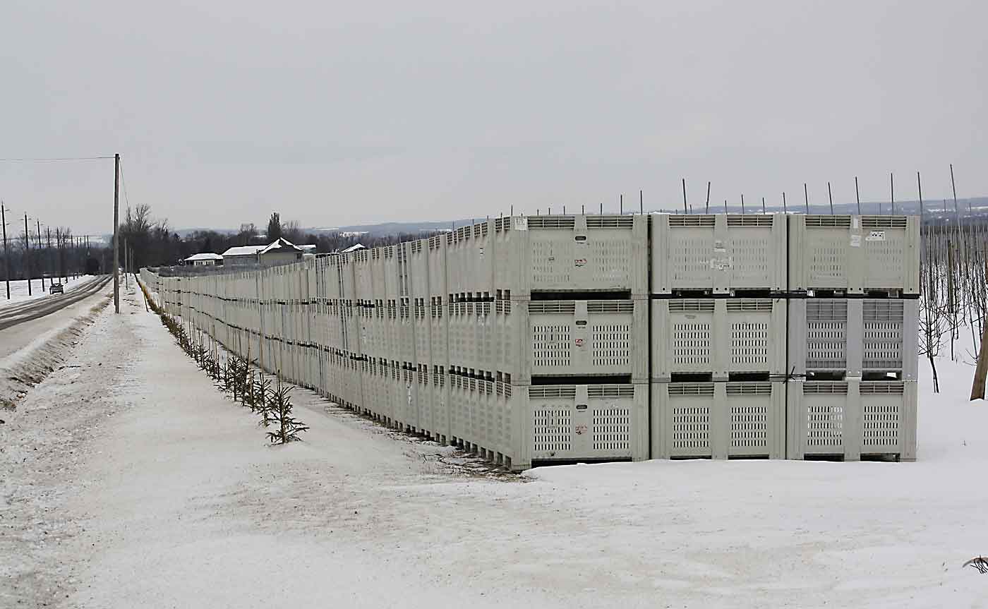 Eye Candy: ABC Wednesday Letter "C" - Crates