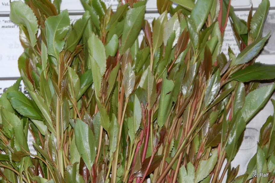 Ethiopia (ኢትዮጵያ)| Country Gallery | Page 14 | SkyscraperCity Forum