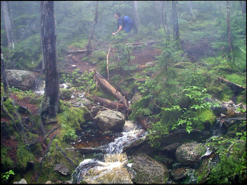 Evans Notch: A Misty Meander on Mt Meader (30-Jun-2009) | New England ...