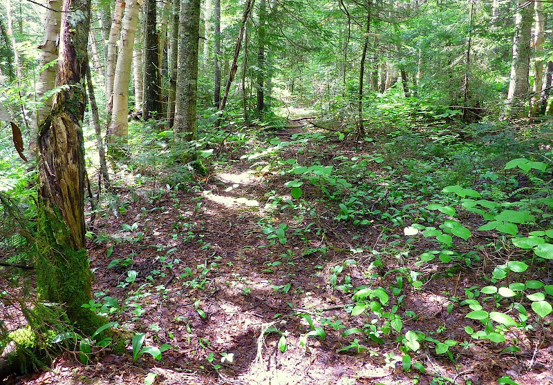 Using the Little River Valley as Part of a Loop to North & South Twin ...