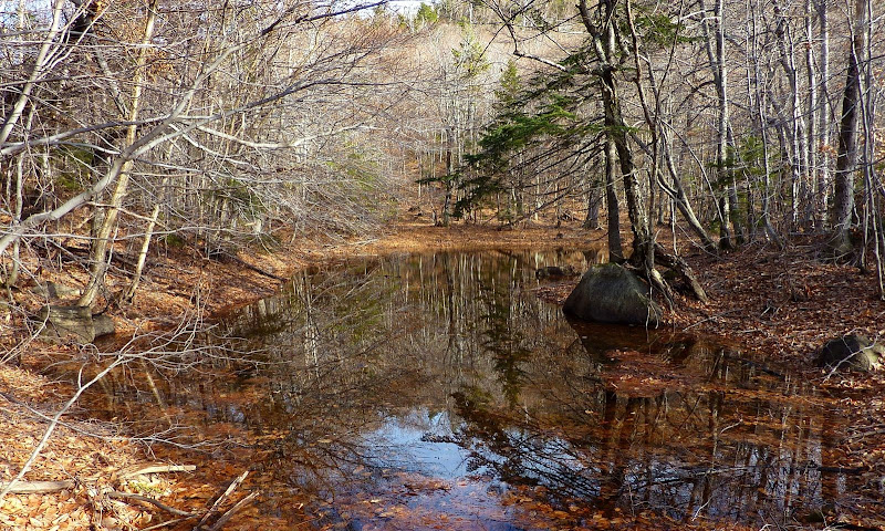 Mt. Tremont "Lake", "Pond", or "Pool"? | New England & New York ...