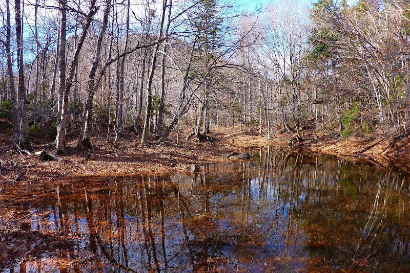 Mt. Tremont "Lake", "Pond", or "Pool"? | New England & New York ...