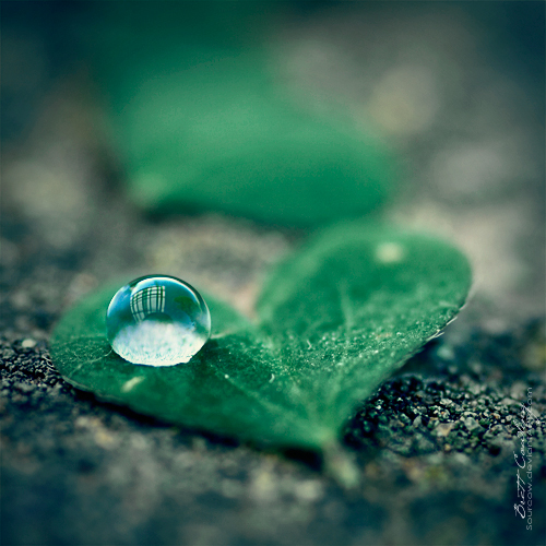 30 Breathtaking Examples Of Drops Photography