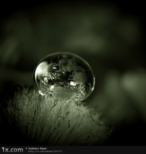 30 Breathtaking Examples Of Drops Photography