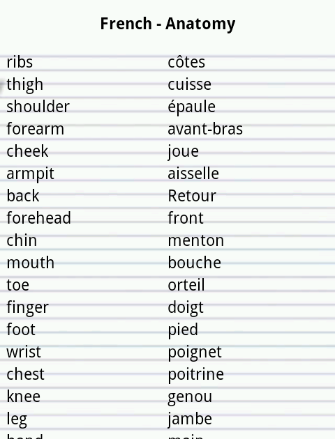 Learn French By Phrases | good wood joints pdf