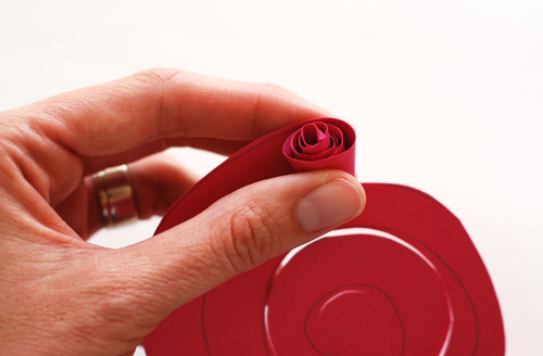 lilly-louise-do-it-yourself-paper-flowers