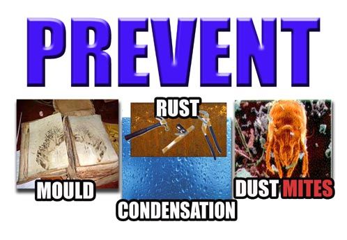 obviate | Vocabulary