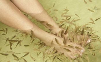 neuston | Vocabulary