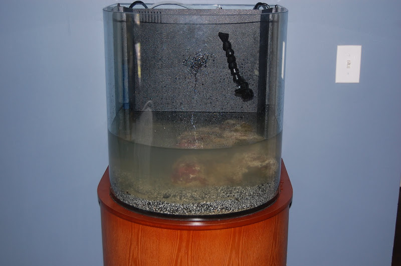 25 gallon Cardiff reef build | Aquarium Advice Forum Community