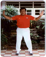 Senam Tera Indonesia