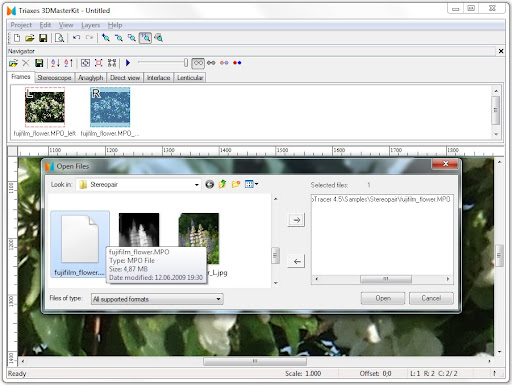 New version Triaxes 3DMasterKit 4.5 and StereoTracer 4.5: Fuji 3D .MPO ...