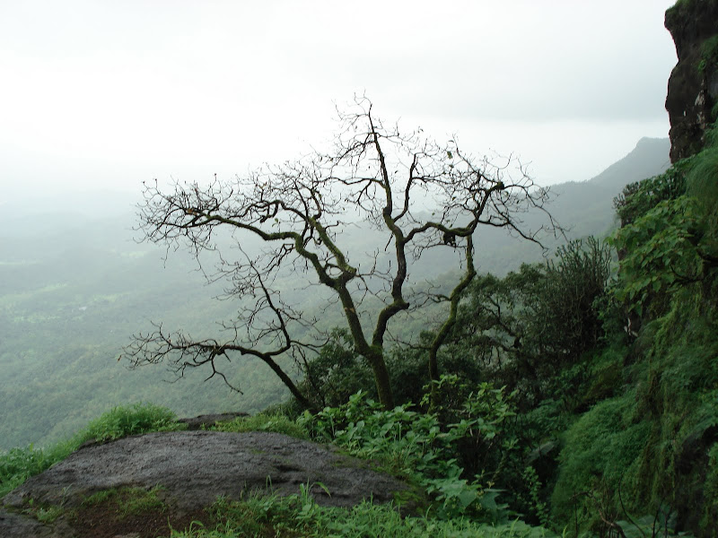 Trek to Mahuli Fort, Asangaon, Mumbai - xBhp.com : The Global Indian ...