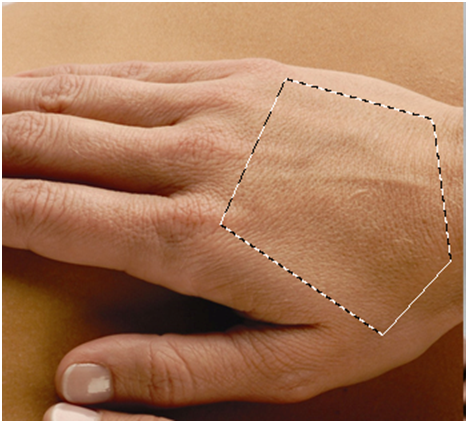 Photoshop Detailed Tutorial Training Site