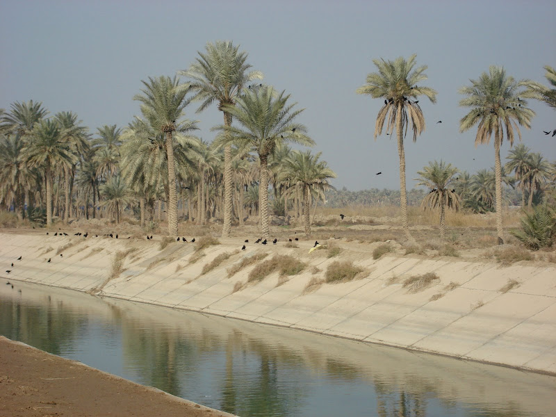 Karbala Nature - from the river to the desert | SkyscraperCity Forum