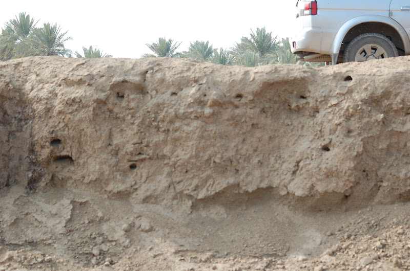 Karbala Nature - from the river to the desert | SkyscraperCity Forum