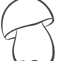 DIBUJOS DE SETAS PARA COLOREAR