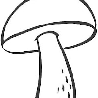 DIBUJOS DE SETAS PARA COLOREAR