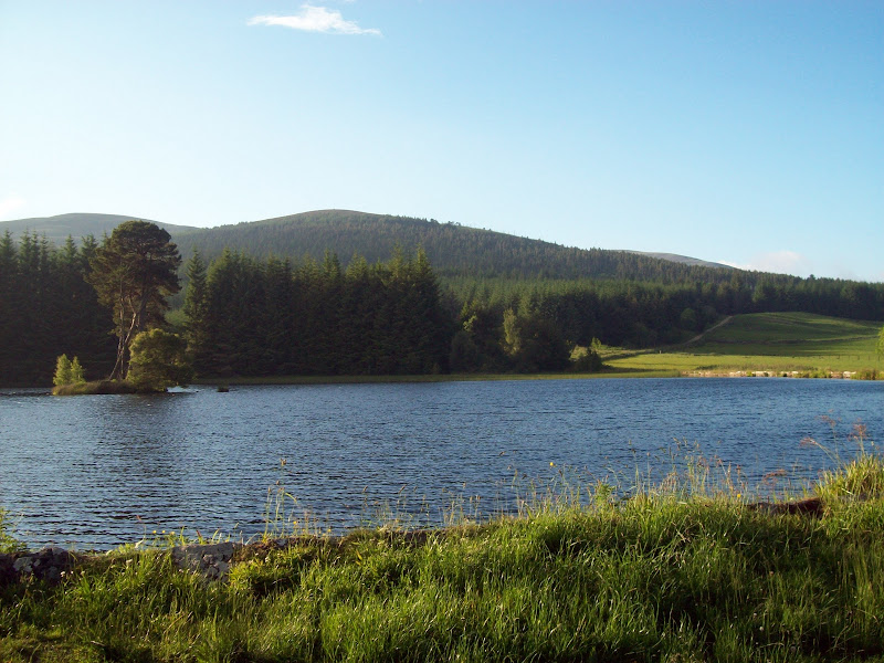 Walk Report - Beinn Tharsuinn (Ardross): Evening strolling • Walkhighlands