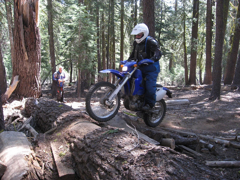 Post your best log crossing pics | Adventure Rider