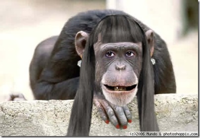 Fotos divertidas de monos - Blog de imágenes