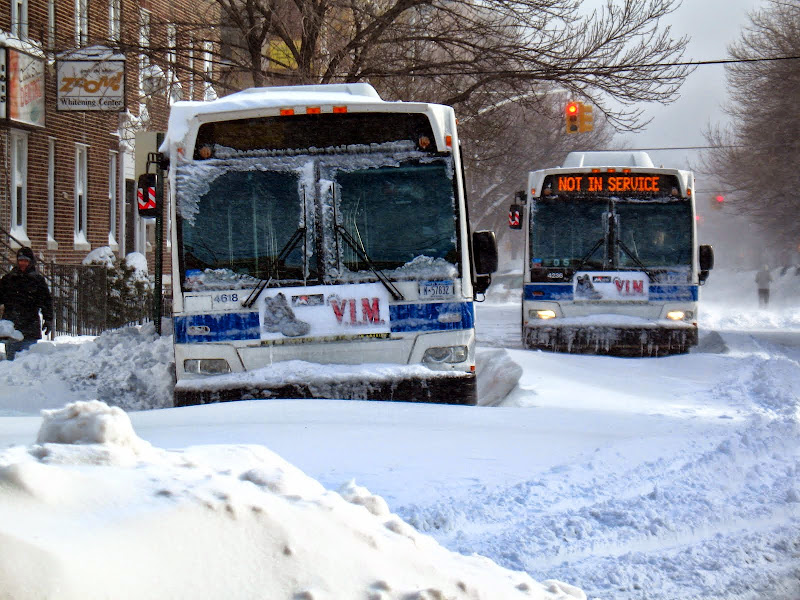 PHOTOS: Frozen Buses on Quentin Road