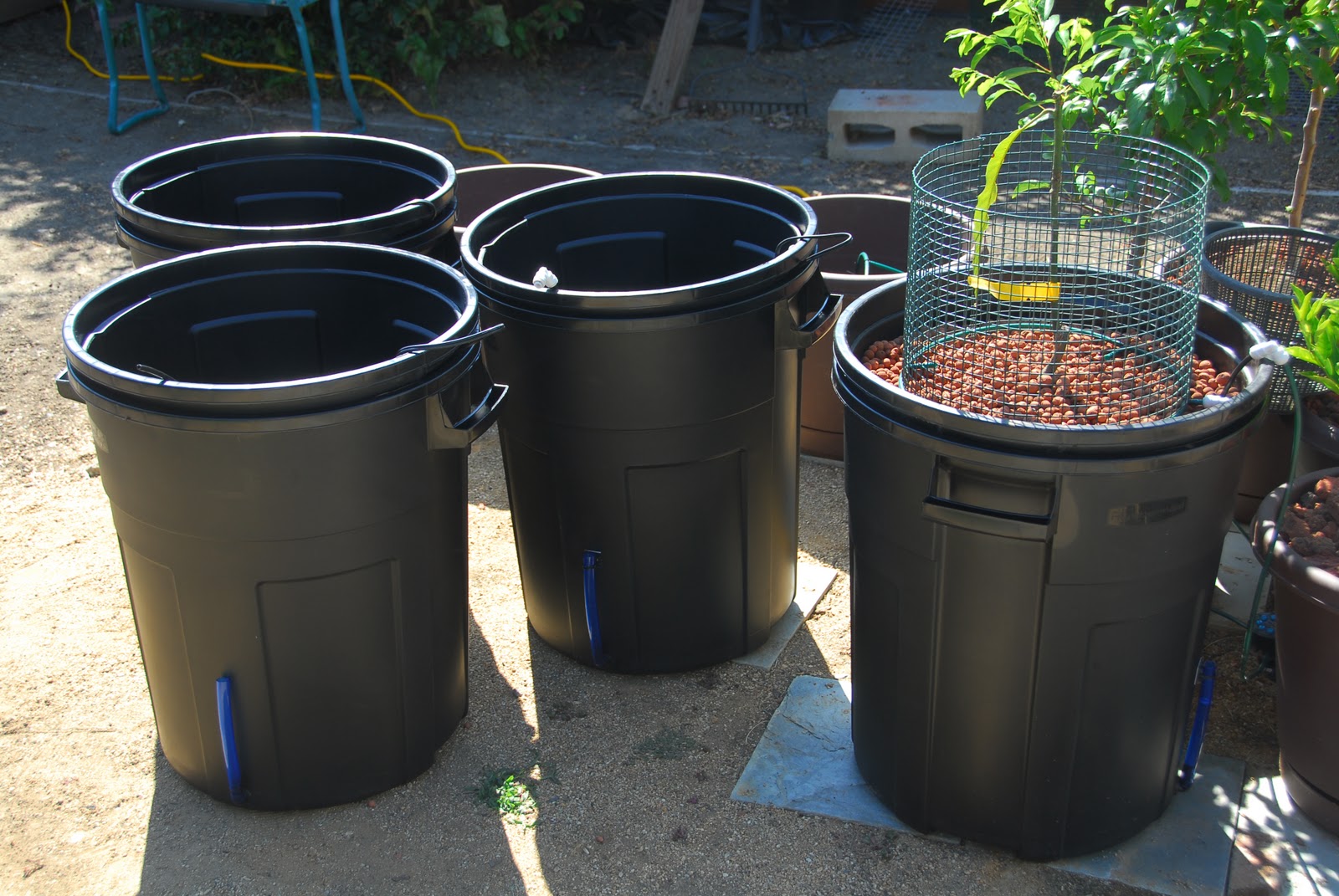 MANGO69: Hydroponic containers kind of finished.