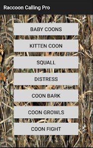 Raccoon Calling Pro – Raccoon calling made easy with effective, proven ...