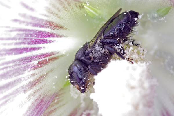 Spotting | Project Noah