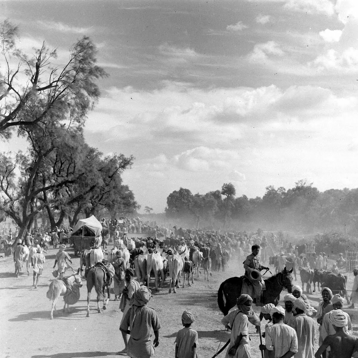 Mass Migration, India - Margaret Bourke-White — Google Arts & Culture