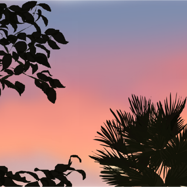 Tropical Sun » drawings » SketchPort