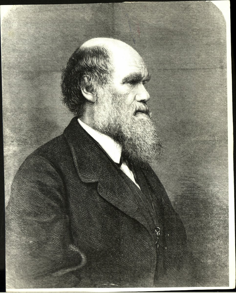 Darwin, Charles Portraits — Google Arts & Culture