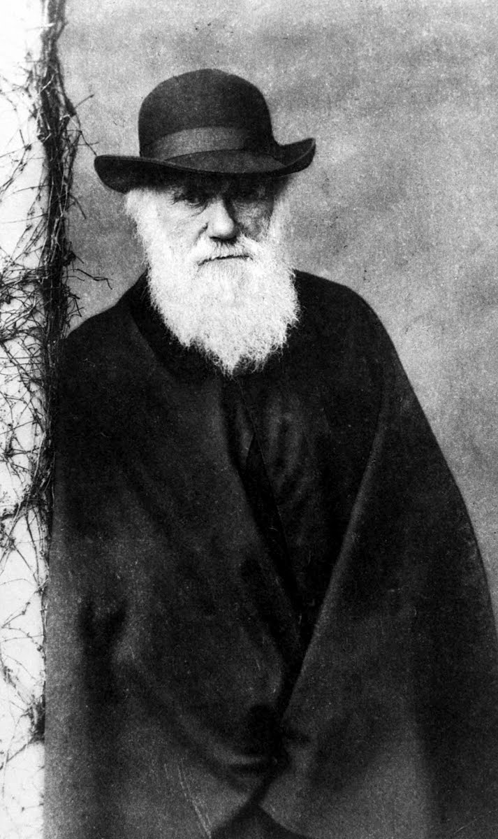 Charles Darwin — Google Arts & Culture