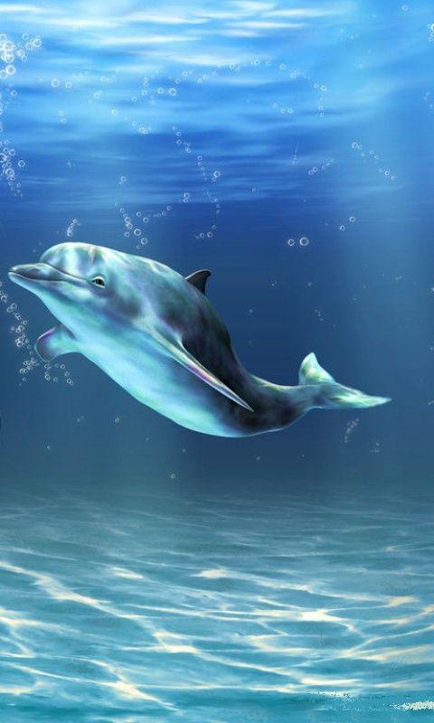 Fondos de pantalla delfines 3D en HD - Imagui