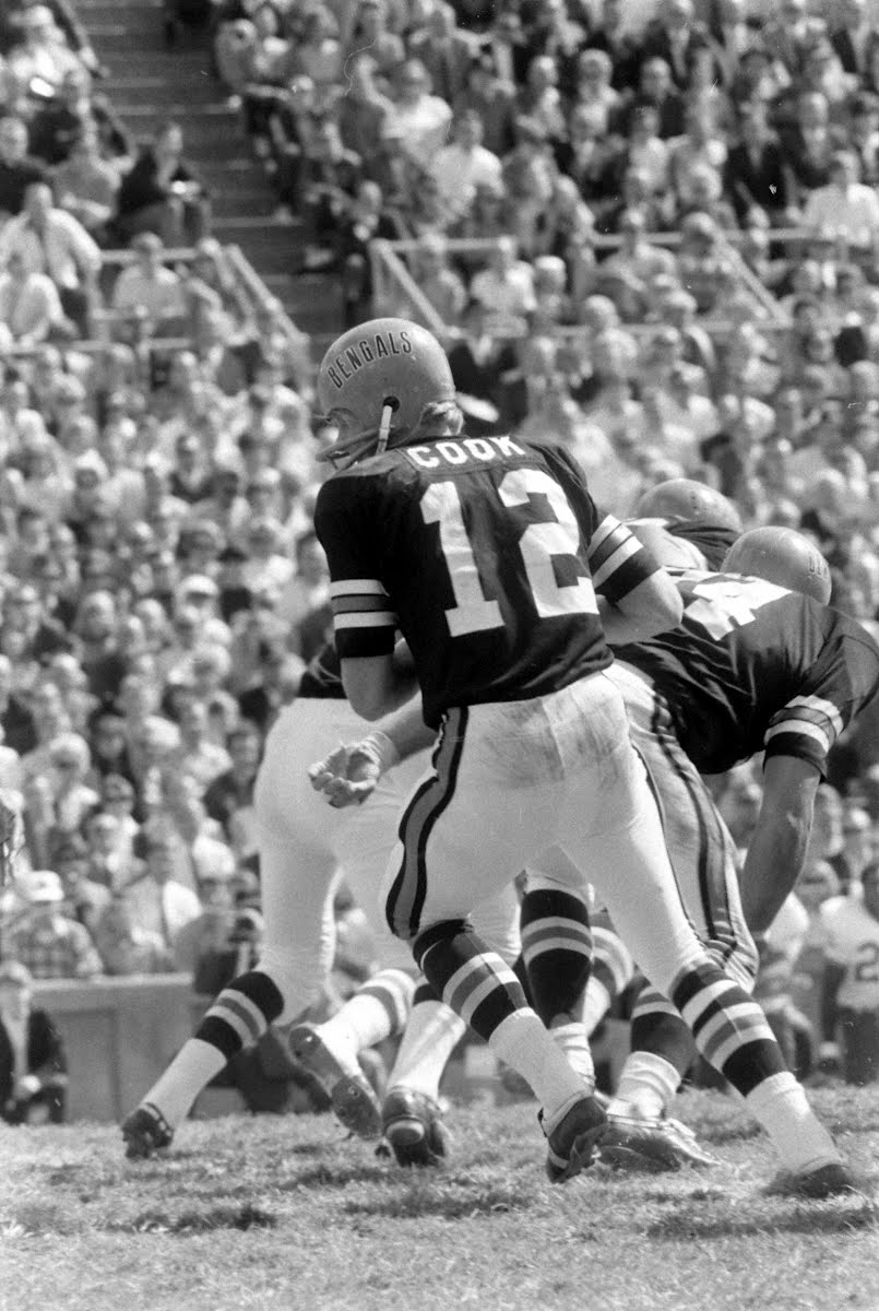 Cincinnati Bengals Greg Cook - Lee Balterman — Google Arts & Culture