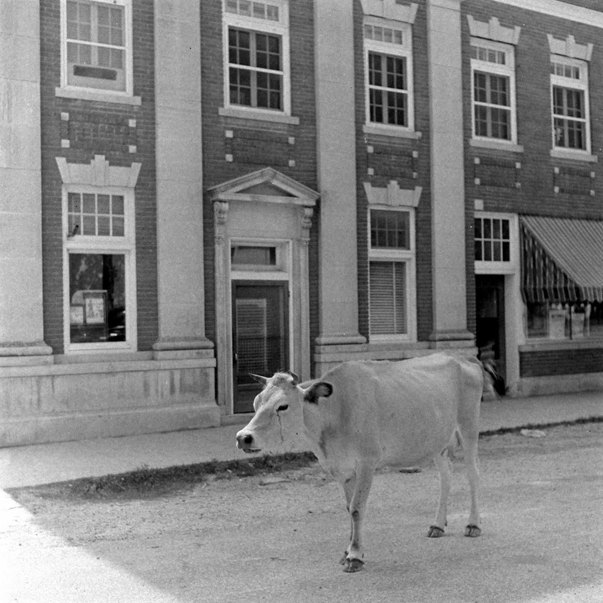 Crossett — Google Arts & Culture