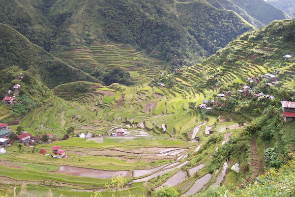 Batad Rice Terraces | Project Noah