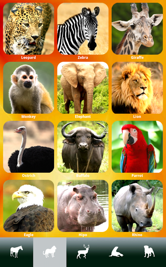 ZOOLA Animals - FREE - Android Apps on Google Play