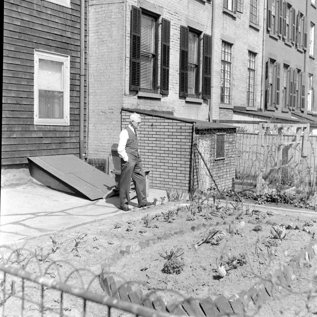 Spring Comes To Brooklyn - Ralph Morse — Google Arts & Culture