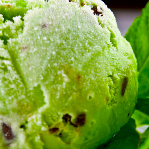 10 Best Exotic Ice Cream Flavors Recipes | Yummly