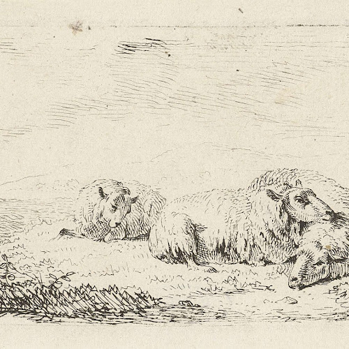 Drie schapen liggend in het gras, Frédéric Théodore Faber, 1805 ...