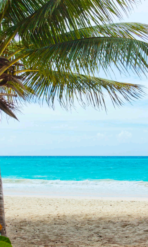 Beach Wallpaper Portrait ~ CVJBDRW