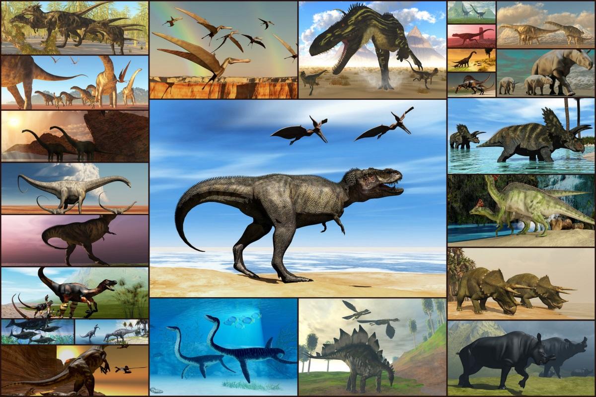 Pussel Barn Spel Dinosaurier – Android-appar på Google Play
