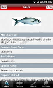 Ikijime Tool Extreme – This handy fishing app helps anglers dispatch ...