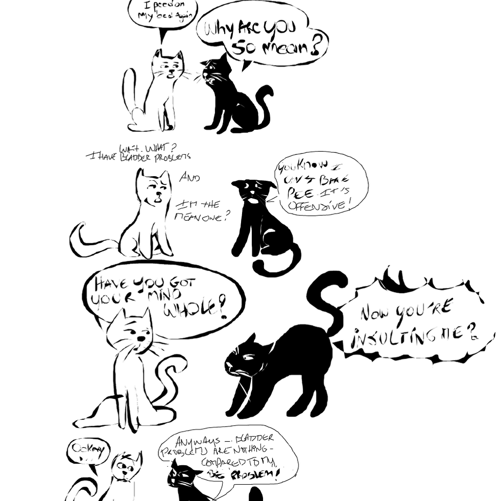 Dramacat » drawings » SketchPort