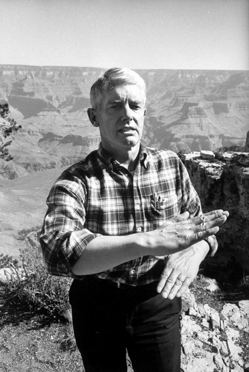 David Brower — Google Arts & Culture