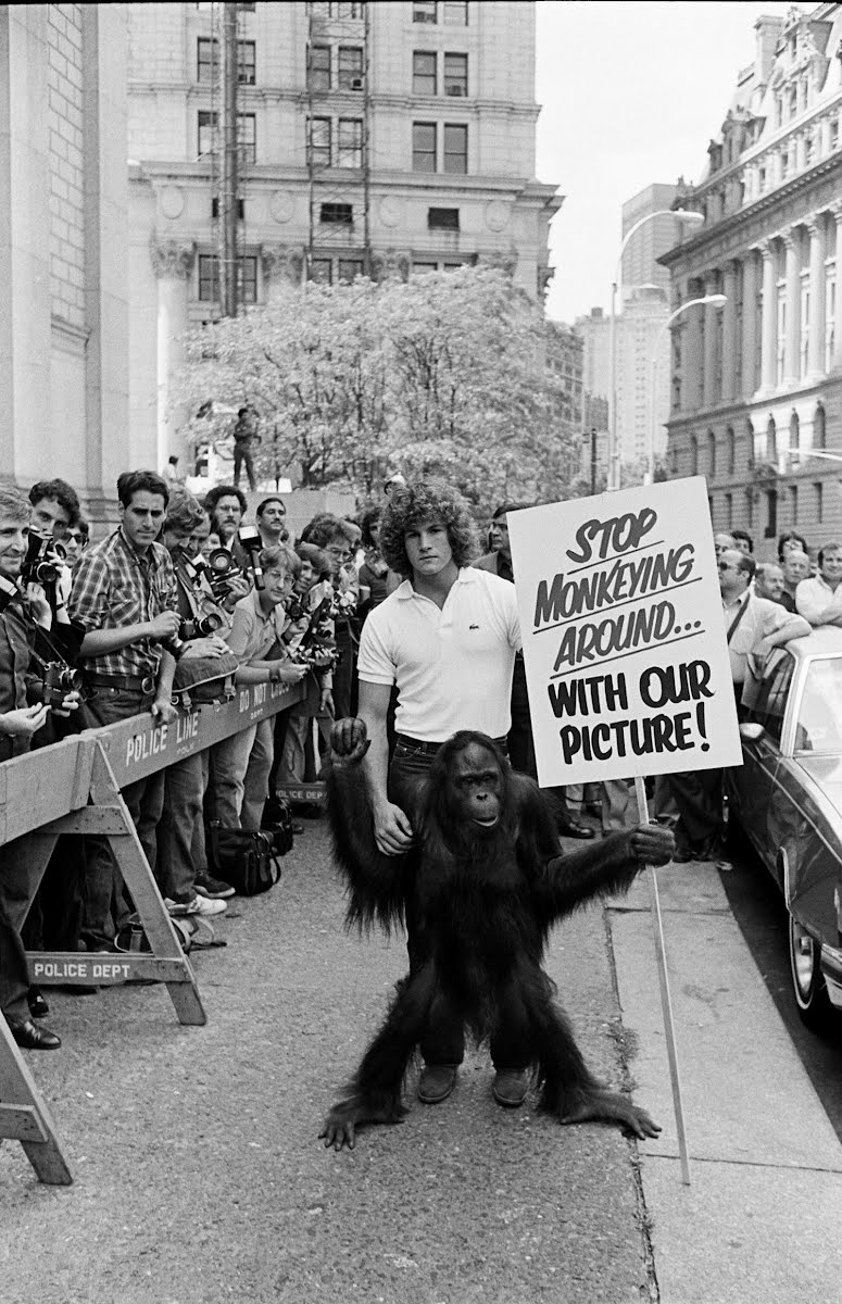 Bo Derek — Google Arts & Culture