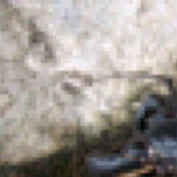 Vinagrillo | Project Noah