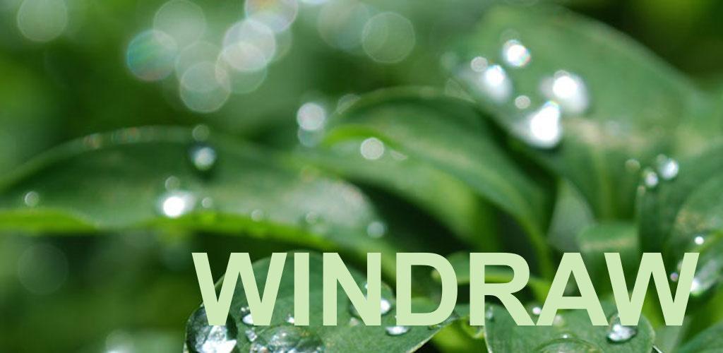 Unique photo editor ‐ Windraw - Latest version 2.4 for Android App ...